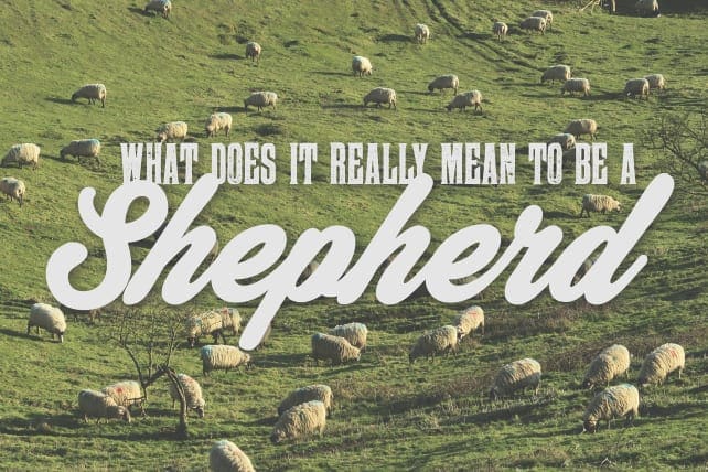 What Does It Really Mean to Be a Shepherd