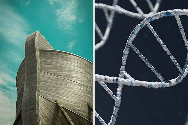 Global Family Tree ‘Traced’ to Noah’s Sons Through Y Chromosome